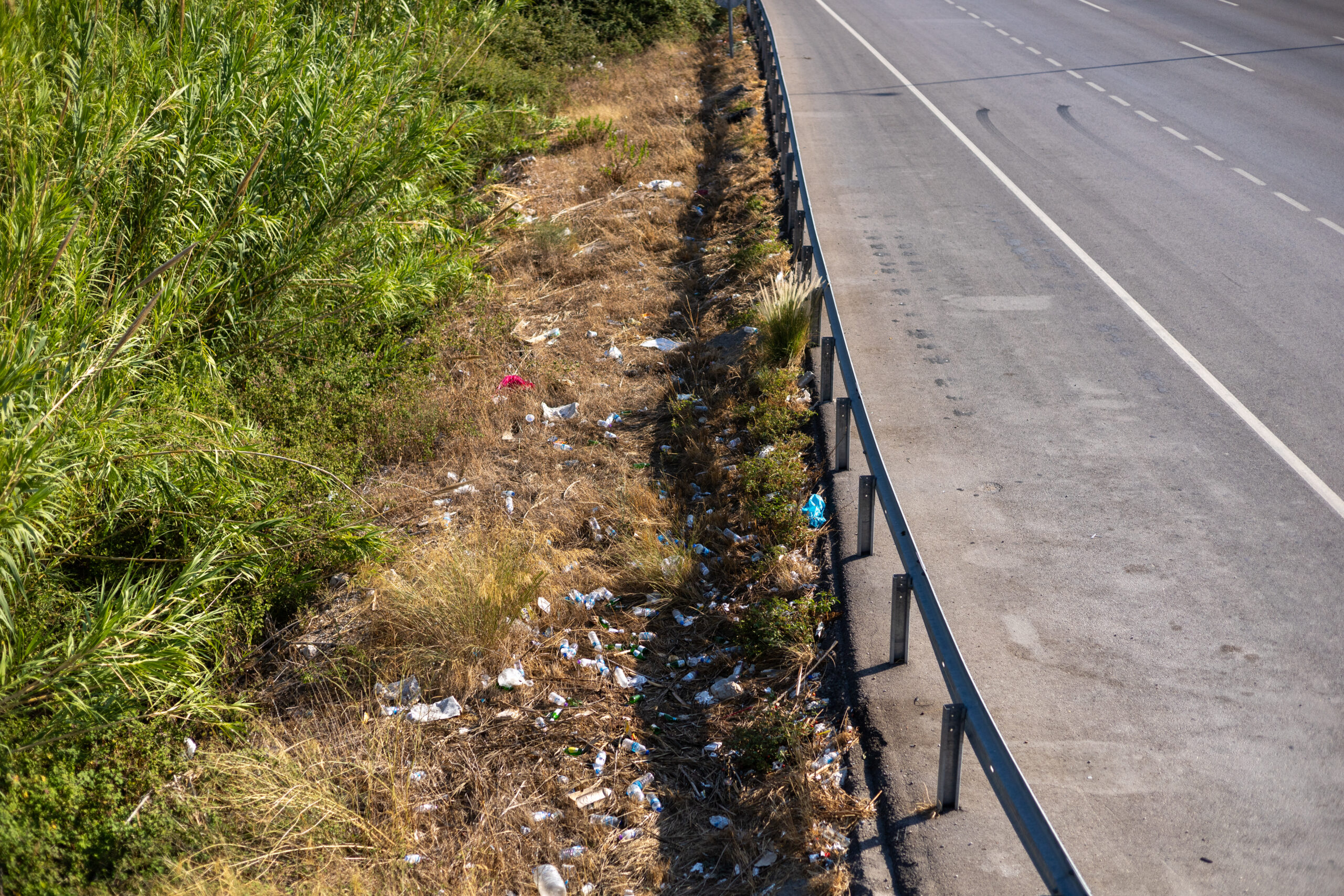 Calling all Litter Bugs! - The Carbon Emissions Project